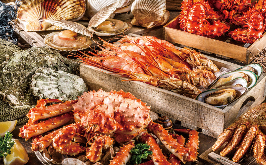 Kan Sushi Robertson quay - Elegant Omakase and sushi restaurant ...